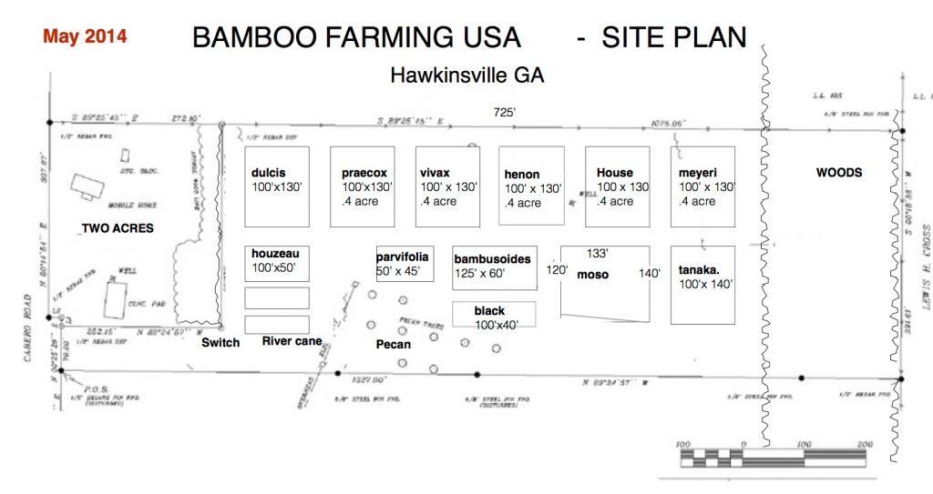 Daphne's Farm - Bamboo Farming USA